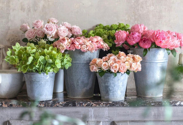 Catching up... & saying good-bye – brenda riddle designs