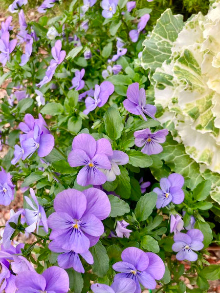 Social Media & Me... – brenda riddle designs